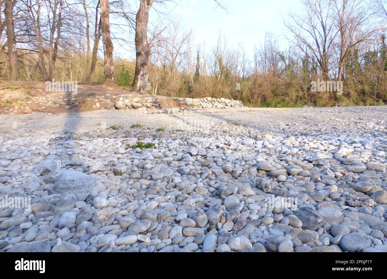 Adda River at historic lows, in some points new natural islands are ...