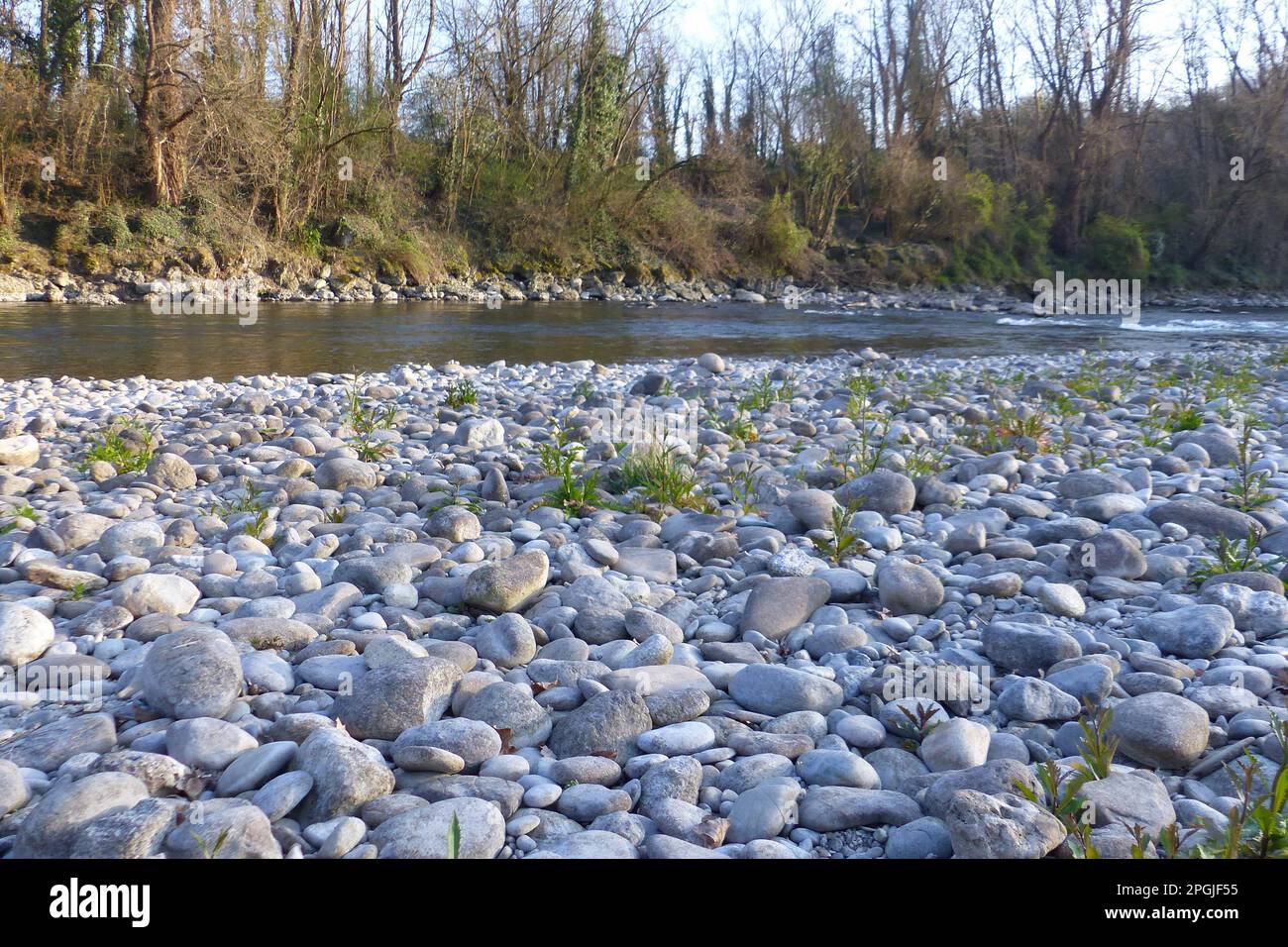 Adda River at historic lows, in some points new natural islands are ...