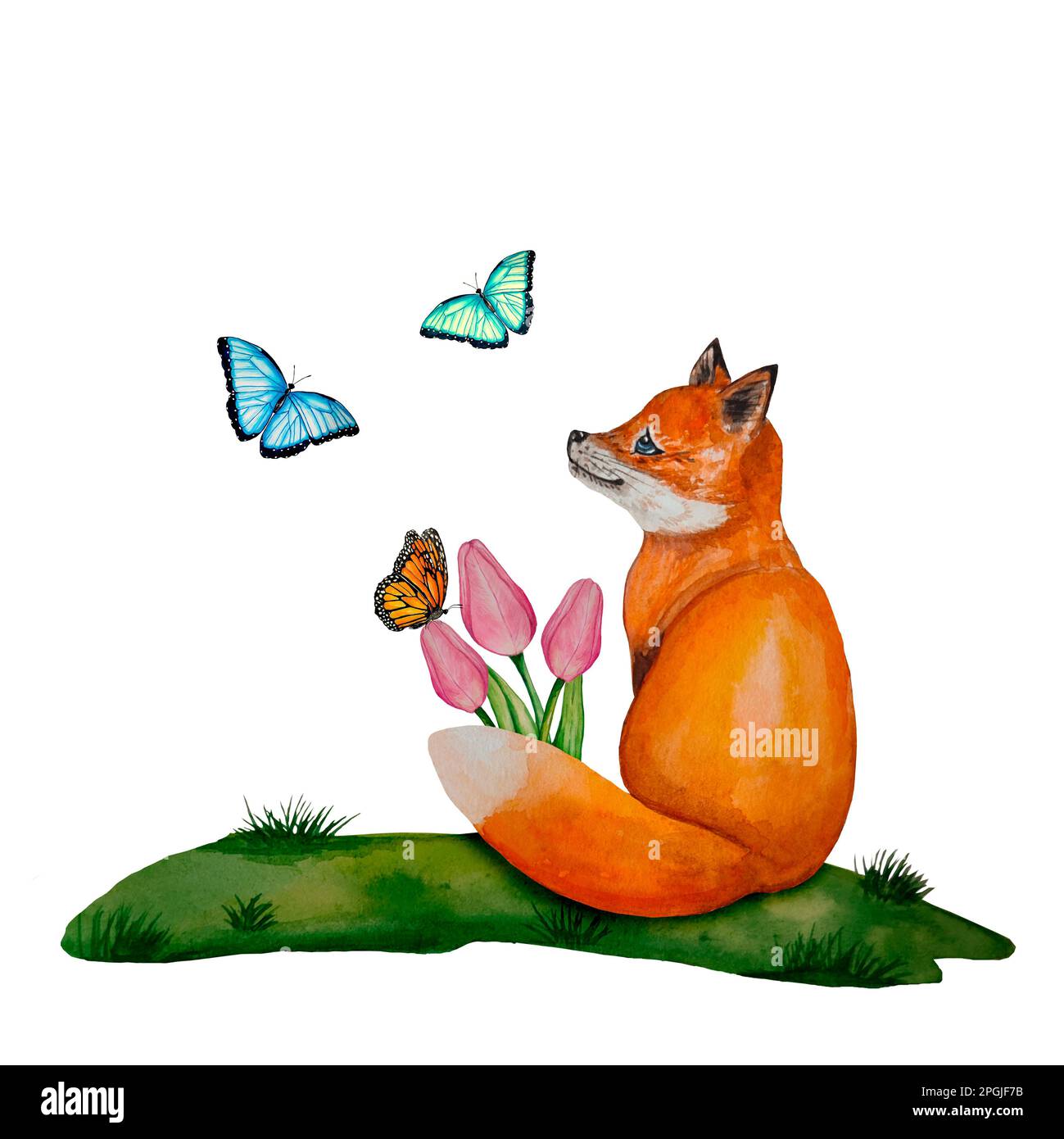 Little cute fox cub with butterflies and flowers, watercolor ...
