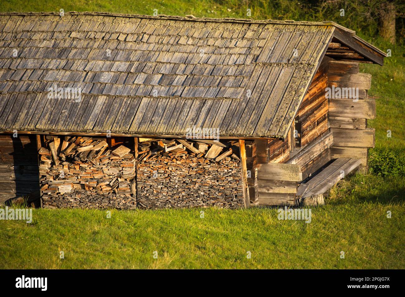 Alpine hut on alpine pasture, Alpe di Siusi, Italy Stock Photo - Alamy