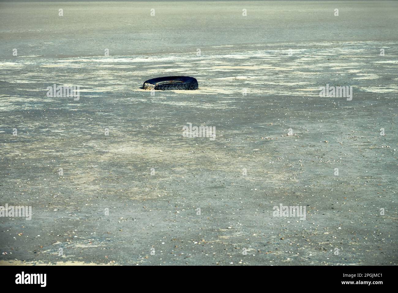 The tire of a car wheel is buried in a salt marsh. Pollution of the ...