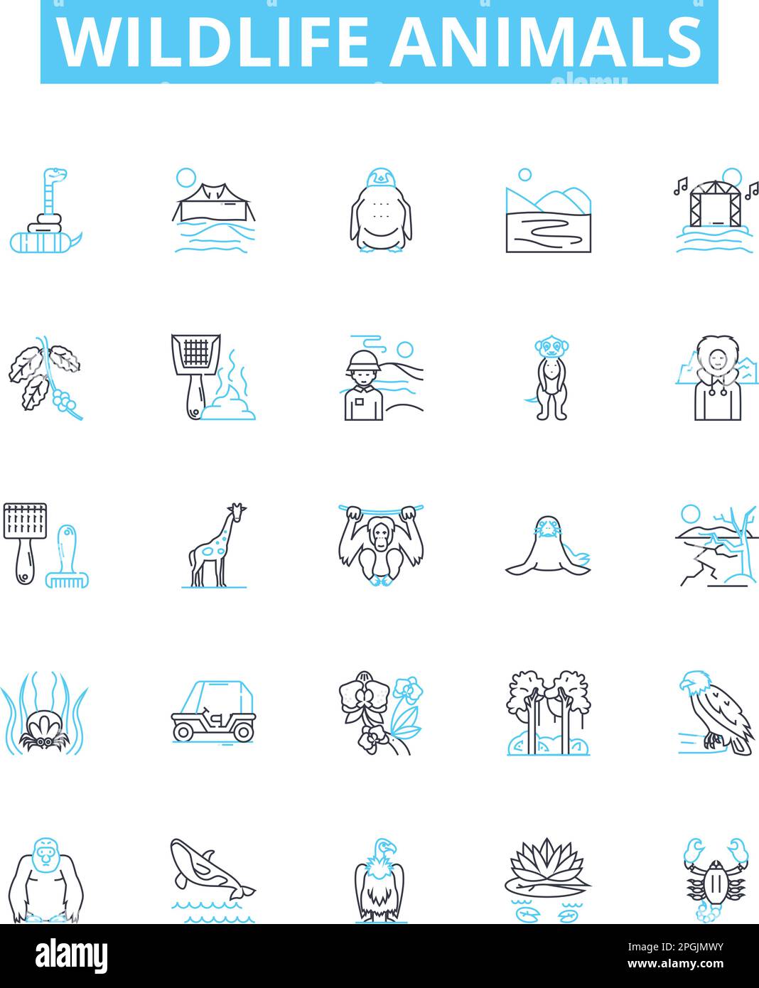 Wildlife animals vector line icons set. Animals, Wildlife, Fauna ...