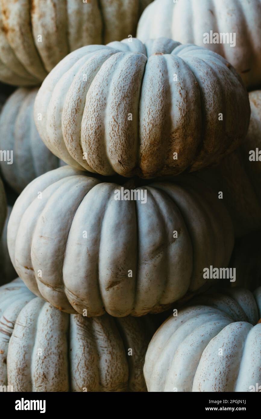 Seasonal vegetables stacked in hi-res stock photography and images - Alamy