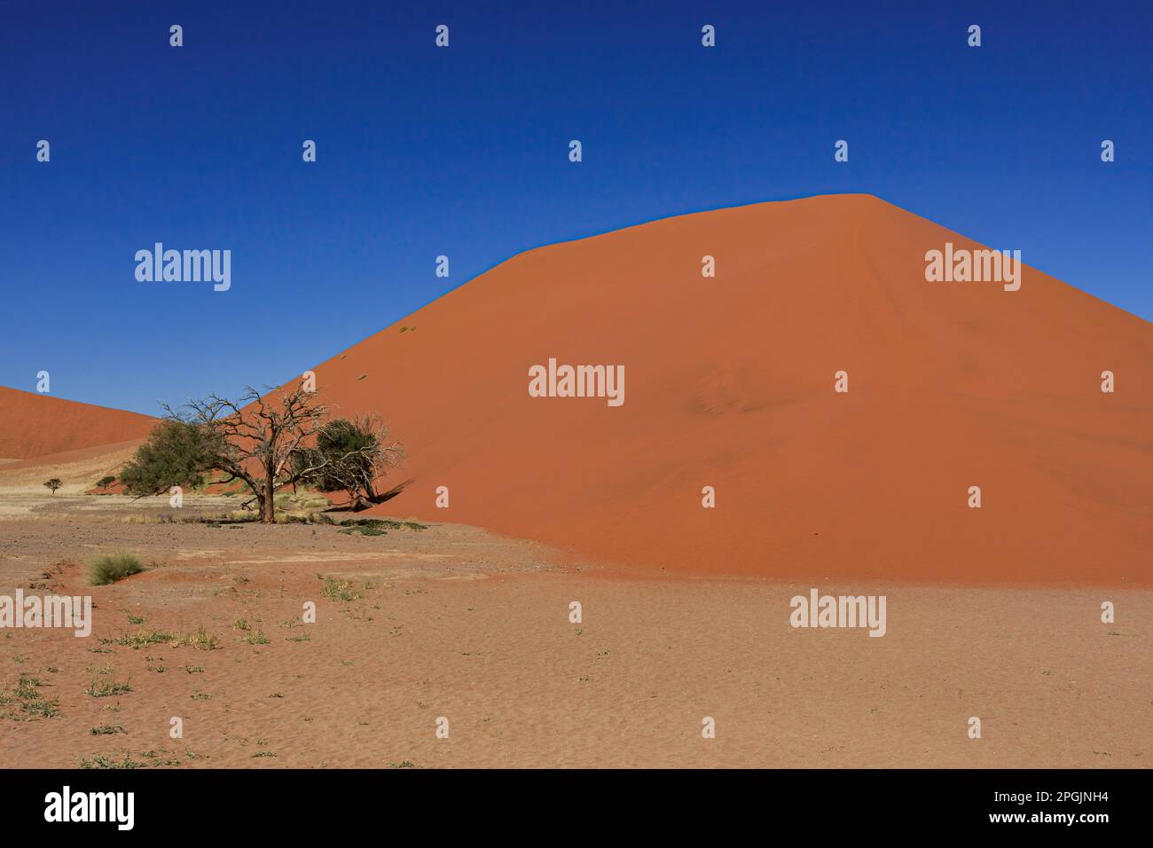 Sossusvlei in namibia hi-res stock photography and images - Alamy