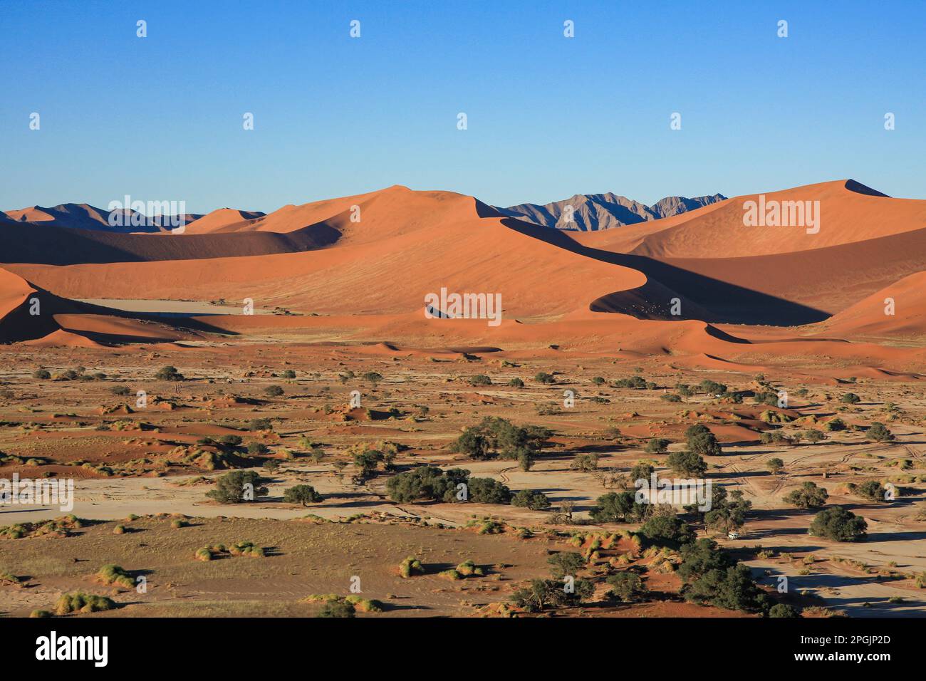 Sand Dunes of the Sossusvlei in Namibia Stock Photo - Alamy