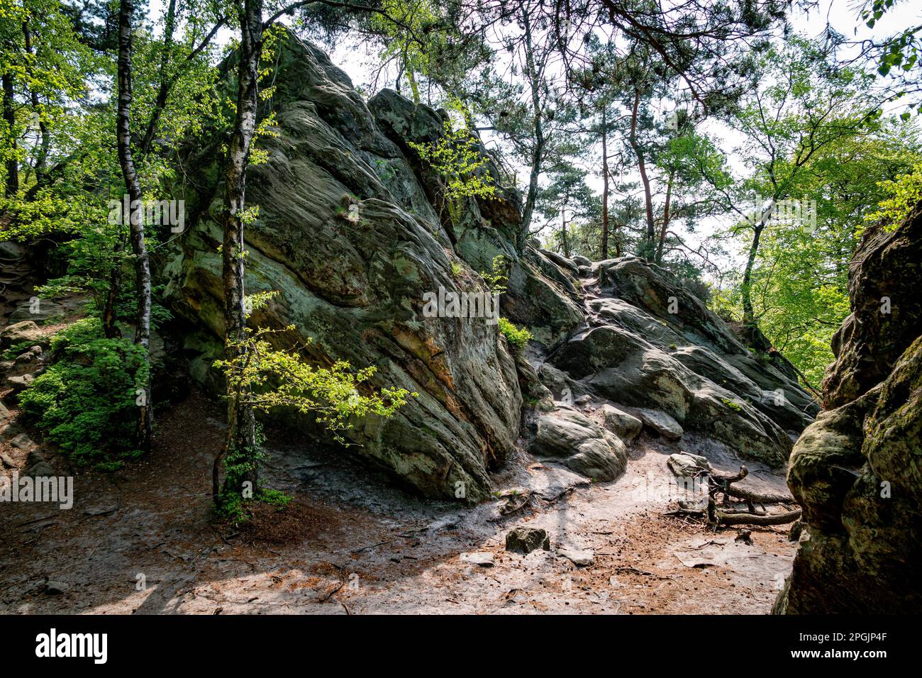 walking track with rocks in germany near tecklenburg Stock Photo - Alamy