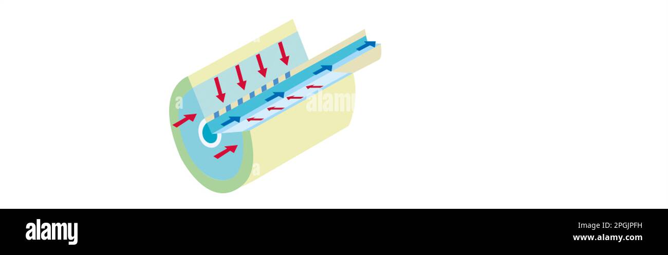 To cross the water Cut Out Stock Images & Pictures - Alamy