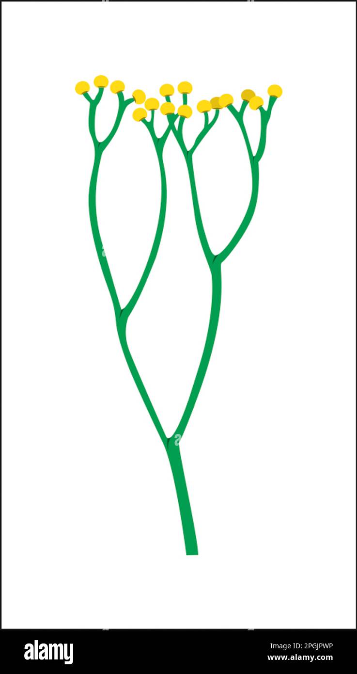 Cooksonia plants hi-res stock photography and images - Alamy