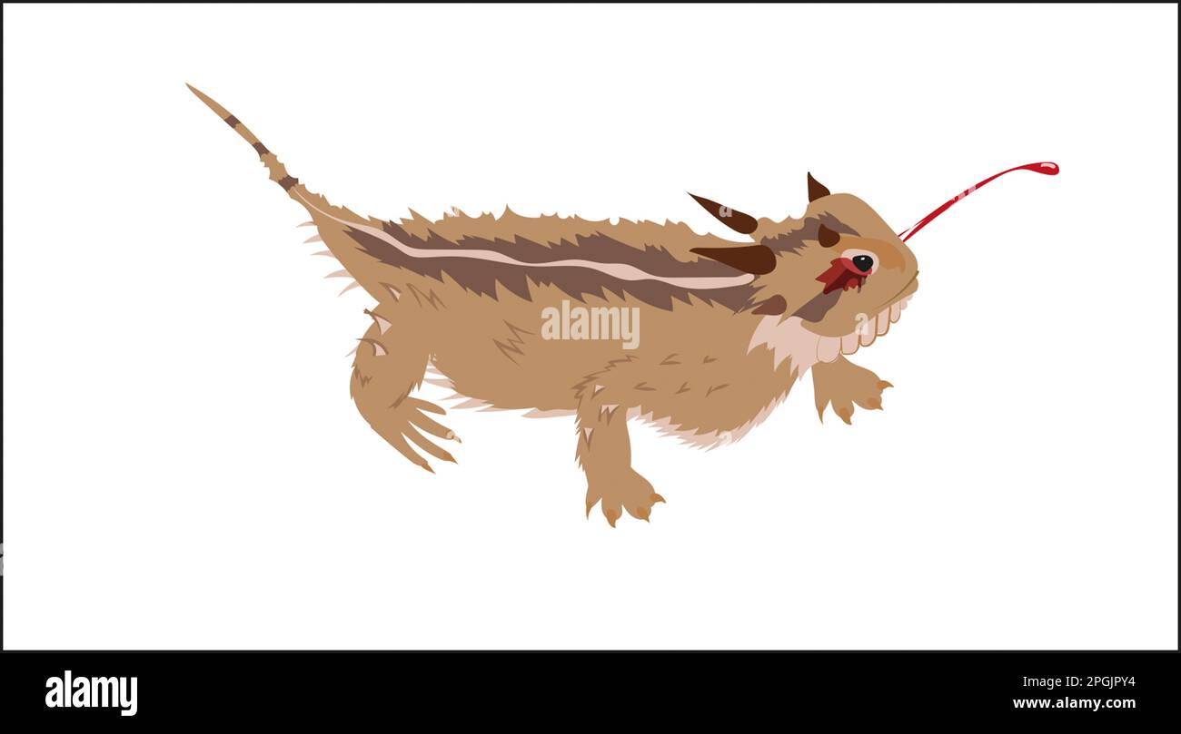 Texas horned lizard Stock Photo - Alamy