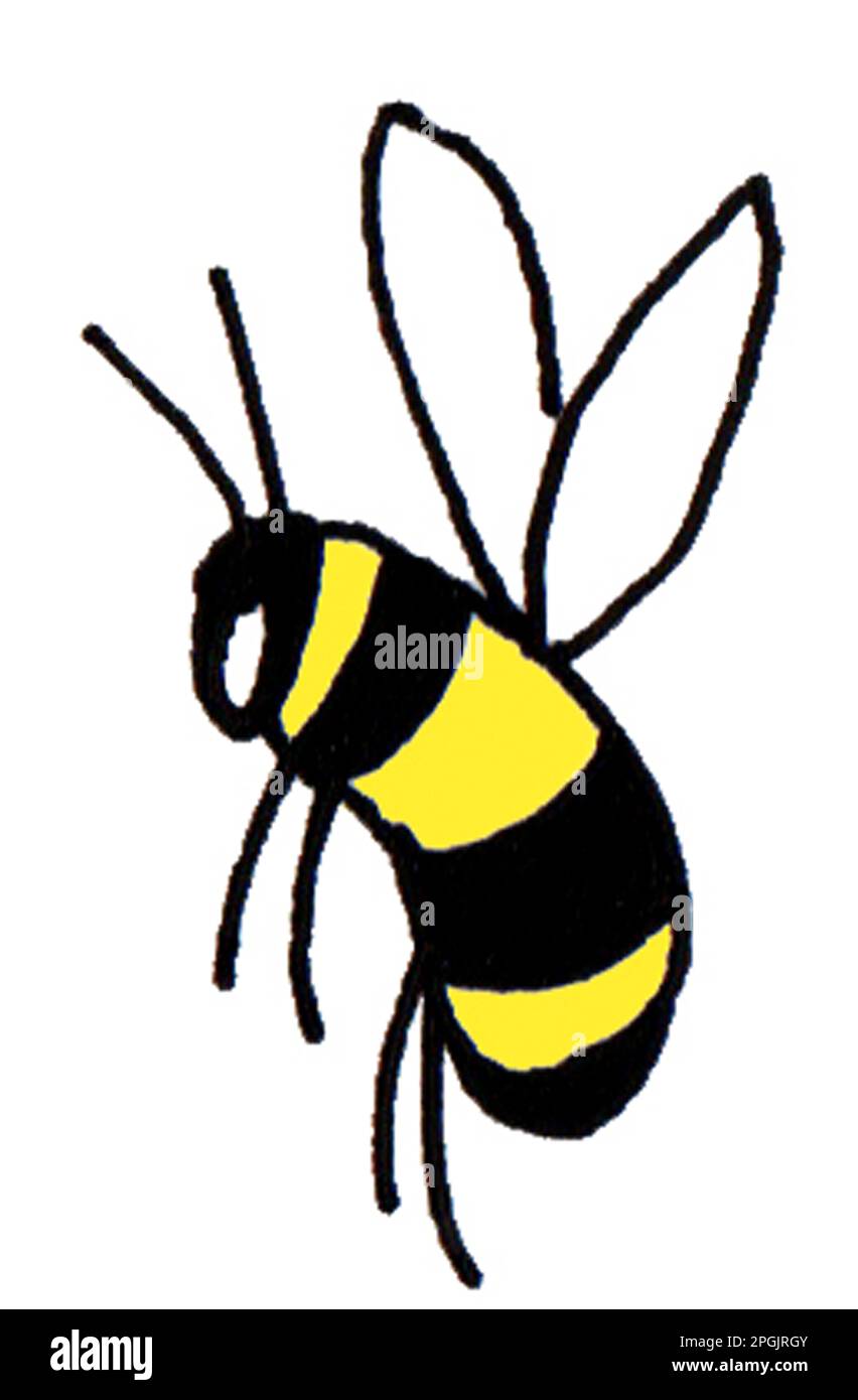 Bee drawing Cut Out Stock Images & Pictures - Alamy