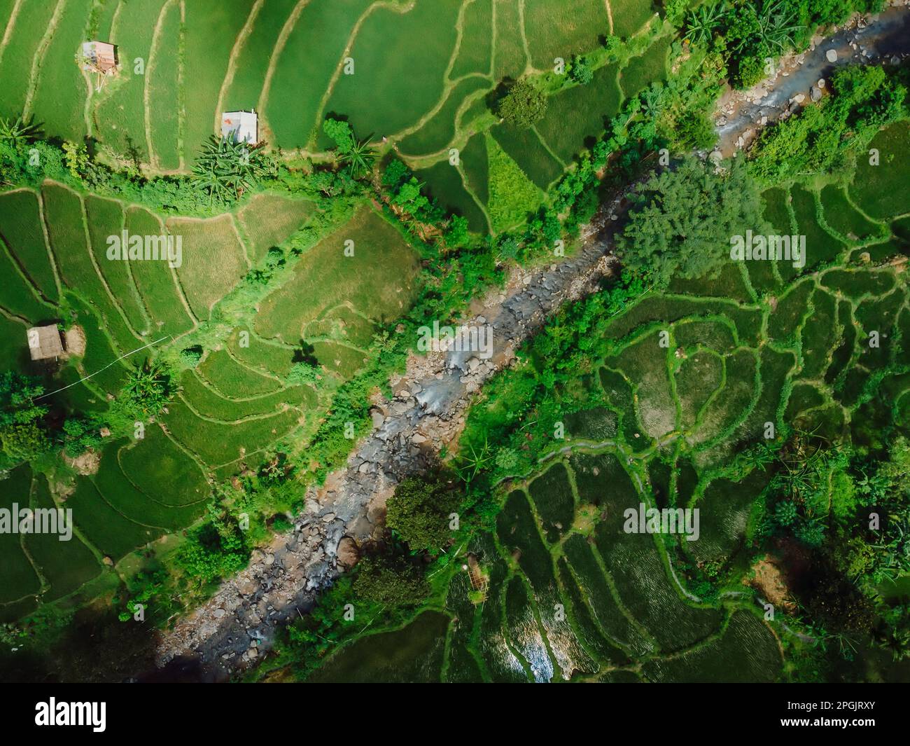 Top view of rice terraces in scenic place on Northern Bali. Landscape ...