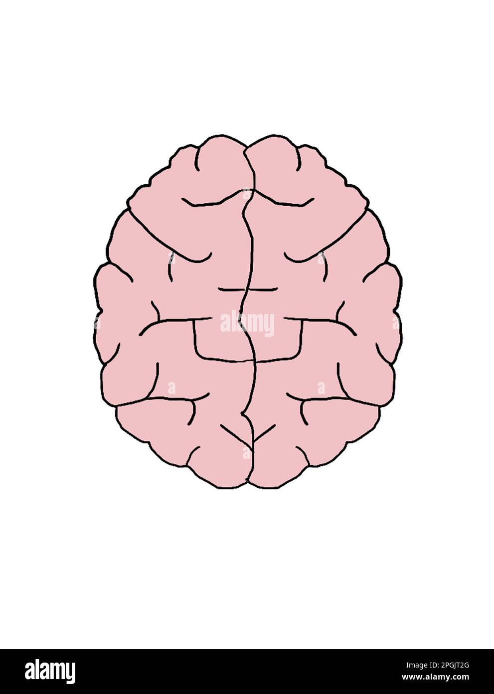 Brain education Cut Out Stock Images & Pictures - Alamy