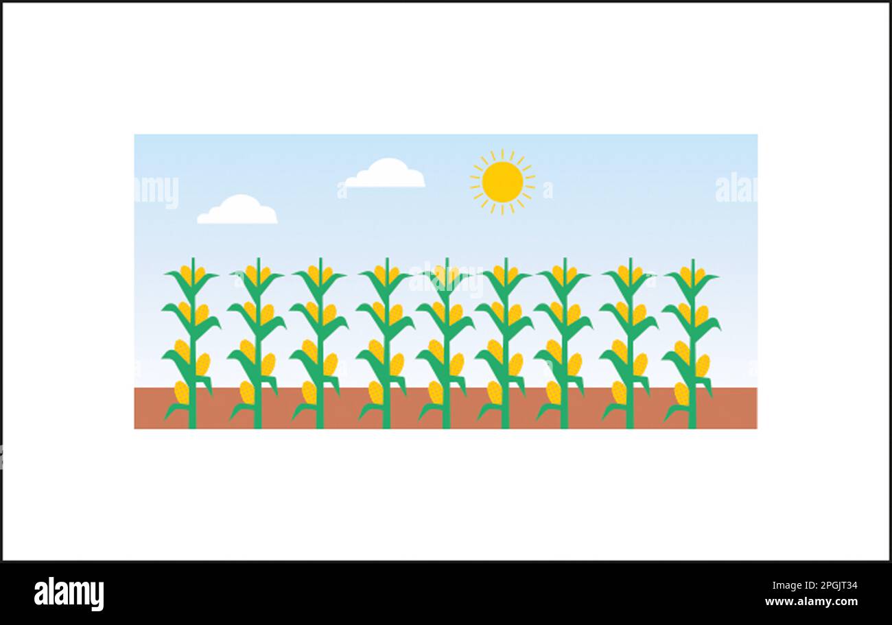 Cloud types drawing hi-res stock photography and images - Alamy