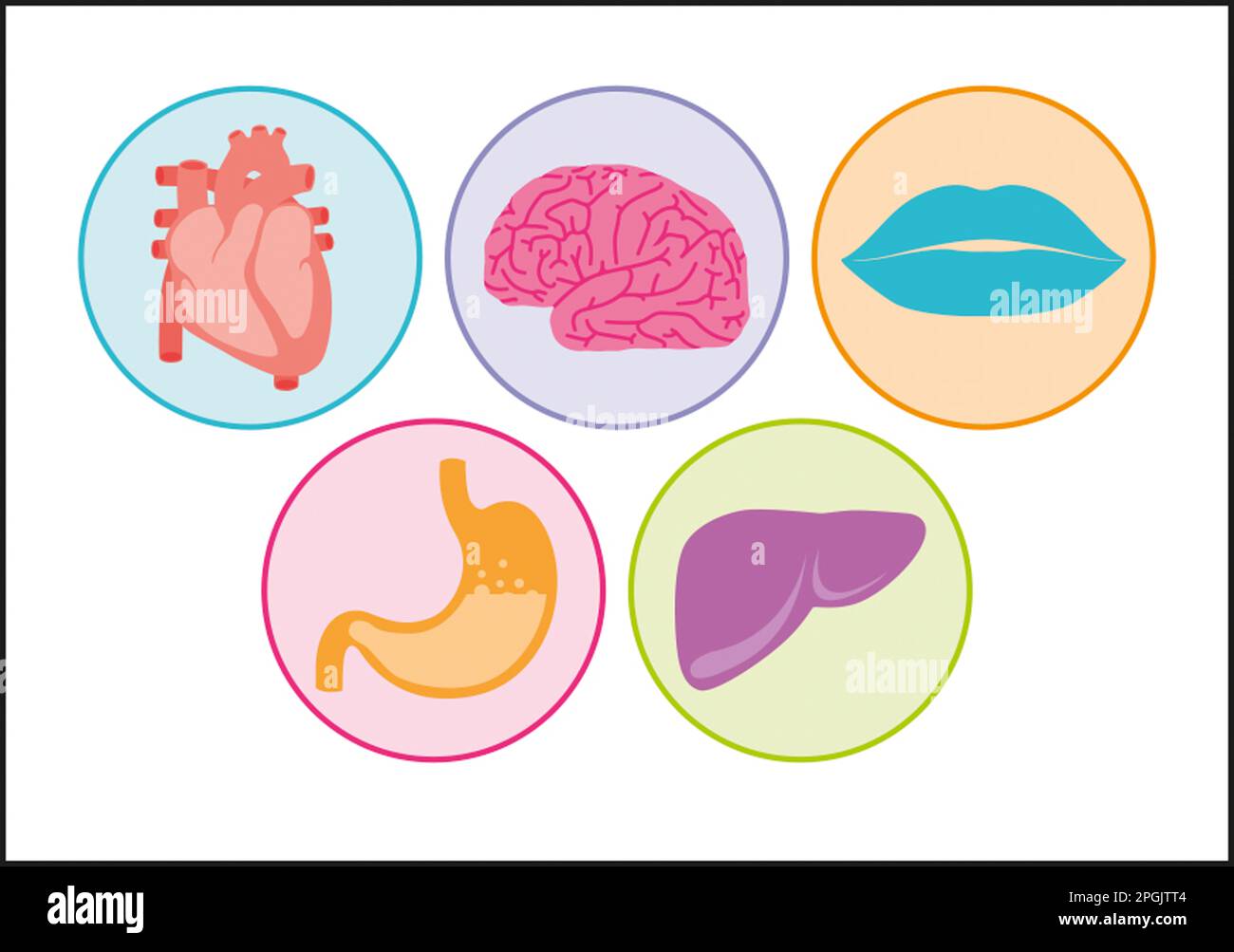 Body part icons Stock Photo - Alamy