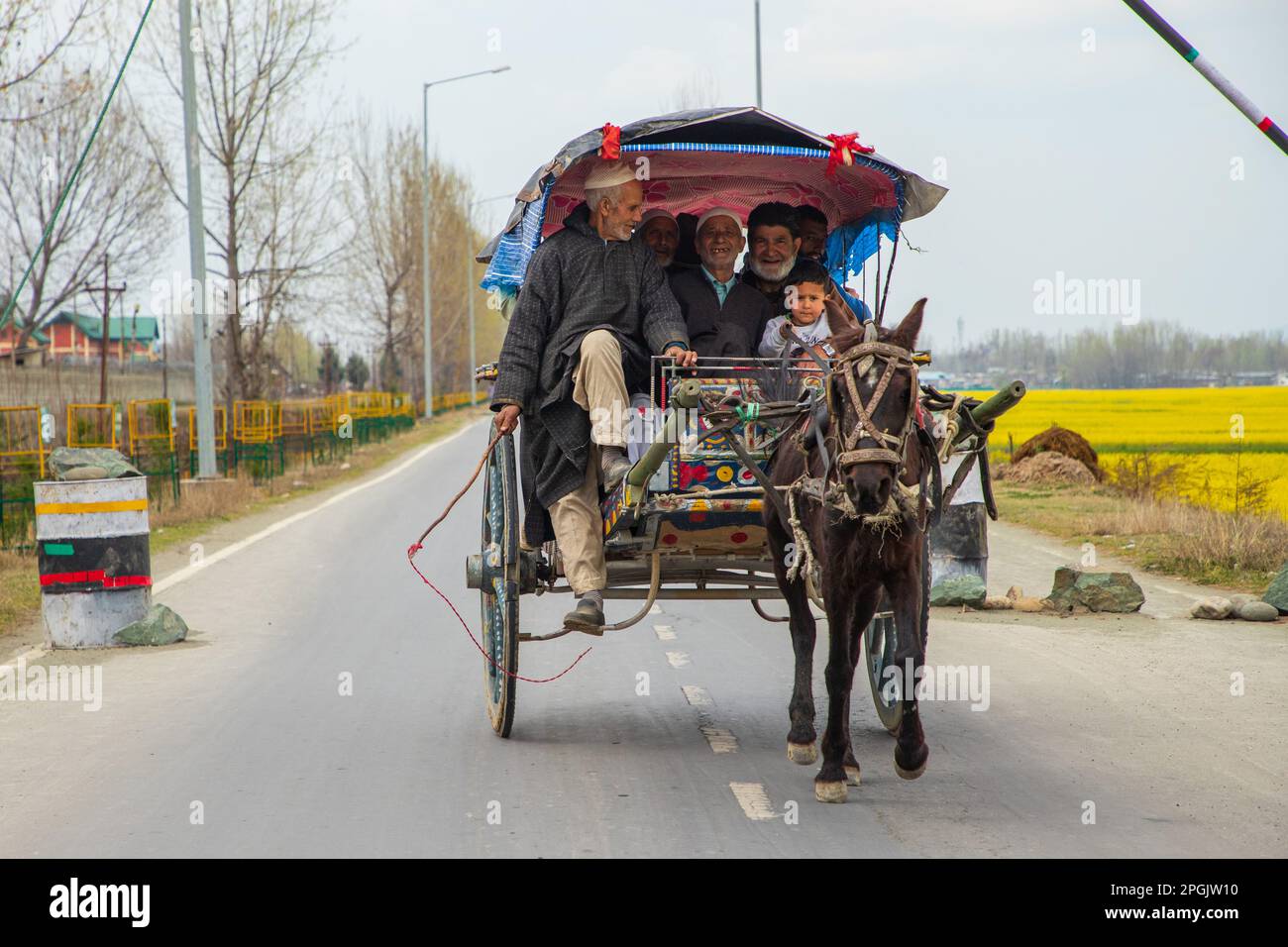 Tonga horse cart hi-res stock photography and images - Alamy