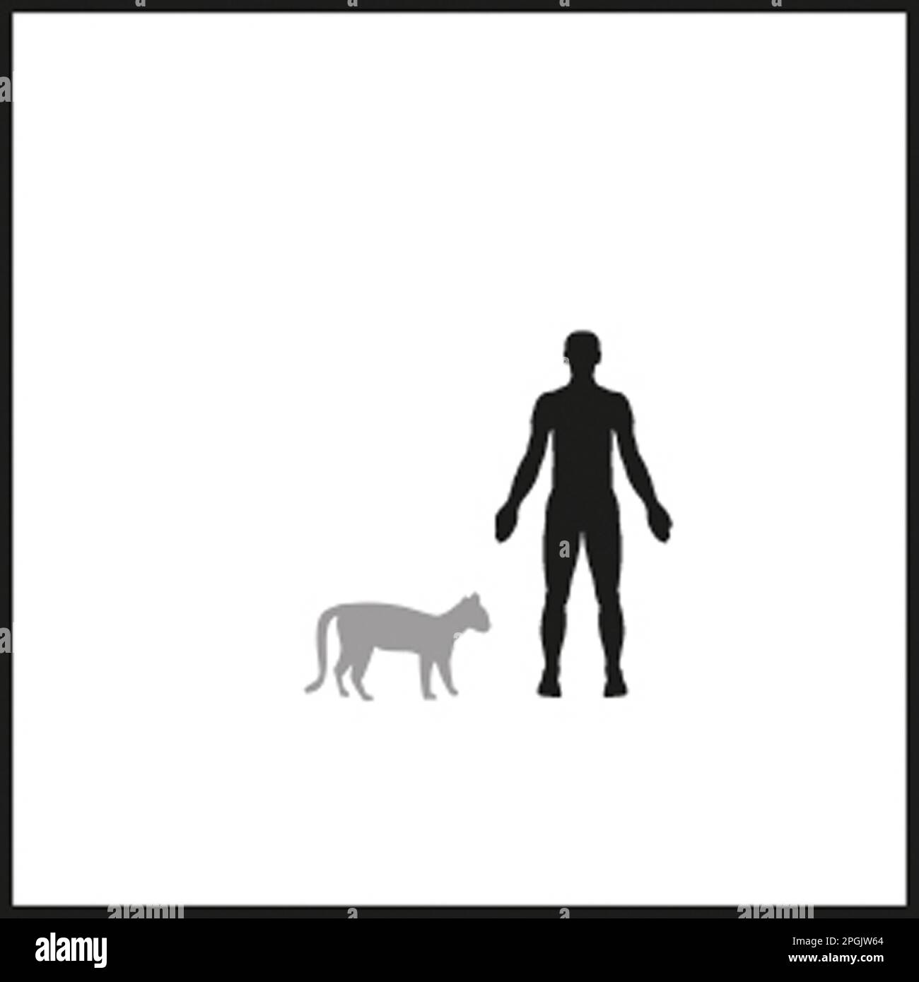 Oncilla leopardus tigrinus hi-res stock photography and images - Alamy