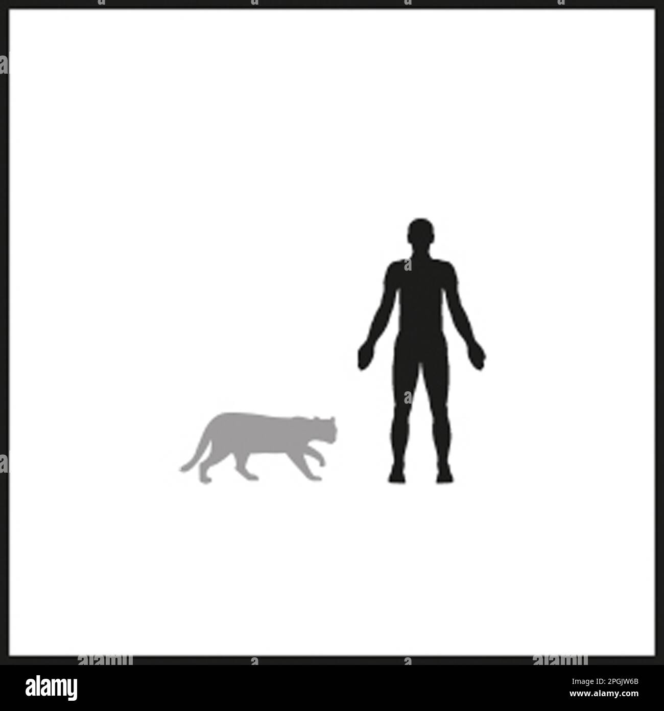 Species diagram hi-res stock photography and images - Alamy