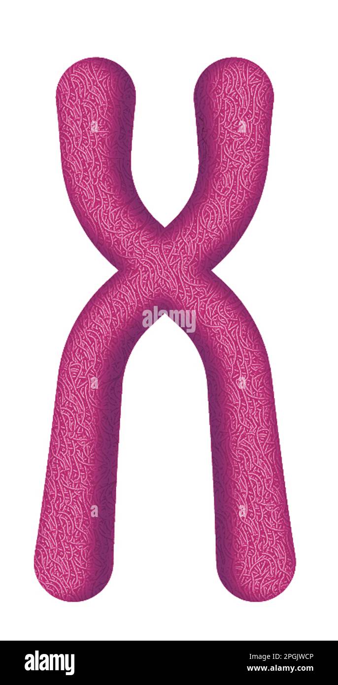 Biology drawing Cut Out Stock Images & Pictures - Alamy