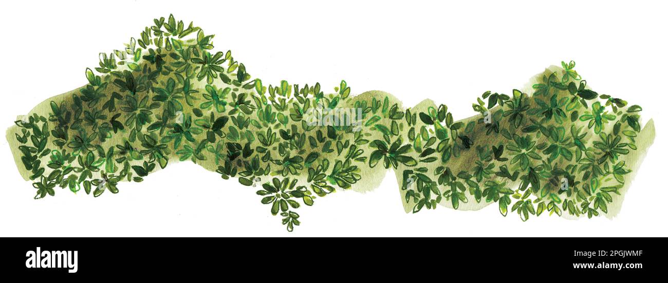 Horizontal moss Cut Out Stock Images & Pictures - Alamy