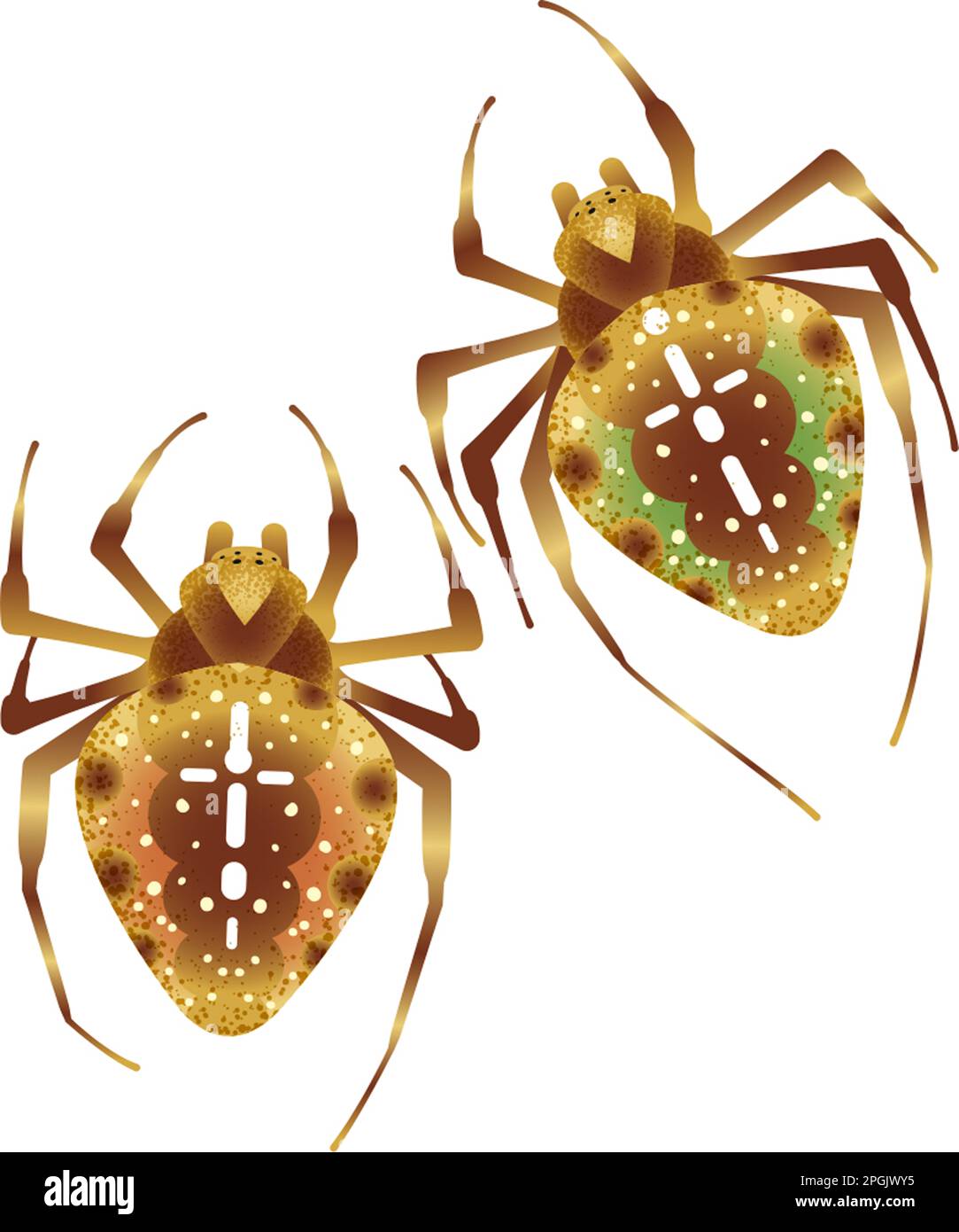 Illustration of spiders Stock Photo - Alamy