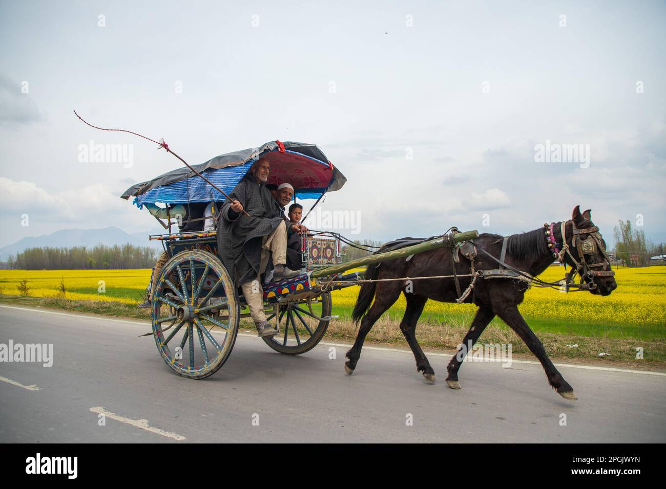 Tonga horse cart hi-res stock photography and images - Alamy