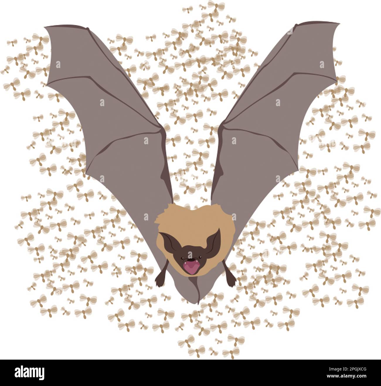 Species of bats Cut Out Stock Images & Pictures - Alamy
