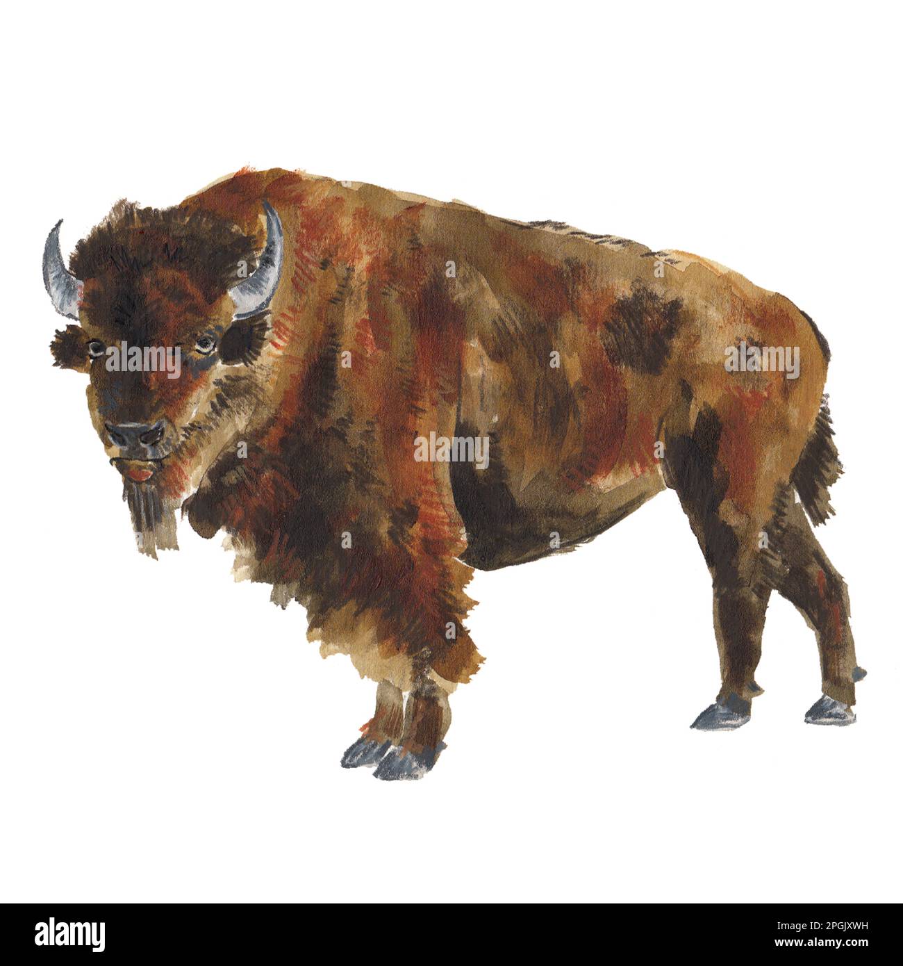 Badlands national park and bison Cut Out Stock Images & Pictures - Alamy