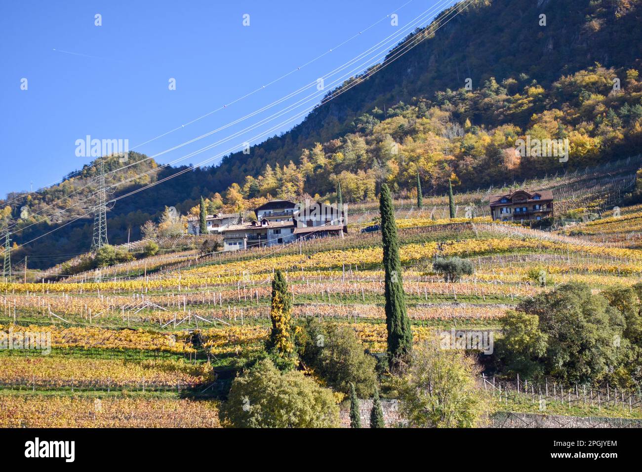 Casale Marittimo village, vineyards and countryside landscape in ...