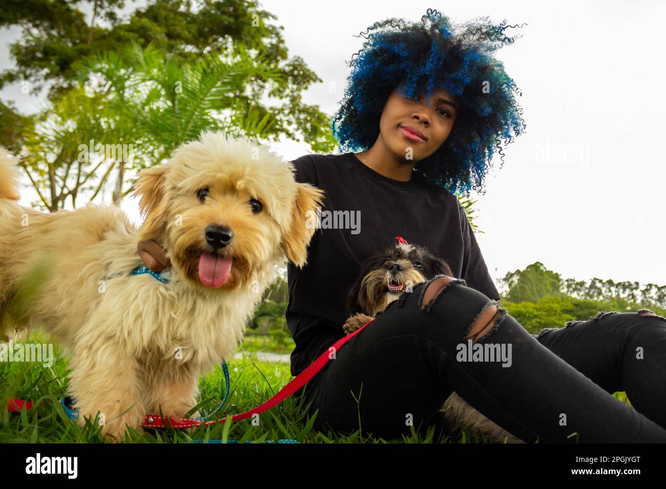Goiania, Goias, Brazil – March 20, 2023: A young black woman, with ... Goiania, Goias, Brazil – March 20, 2023: A young black woman, with ...