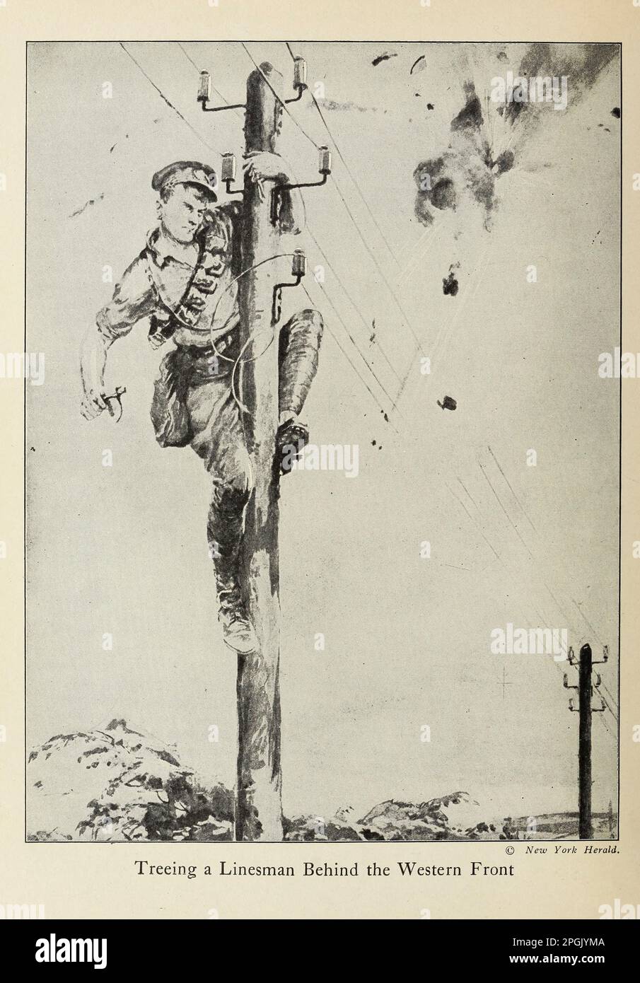Treeing a Linesman Behind the Western Front from the book ' Deeds of ...