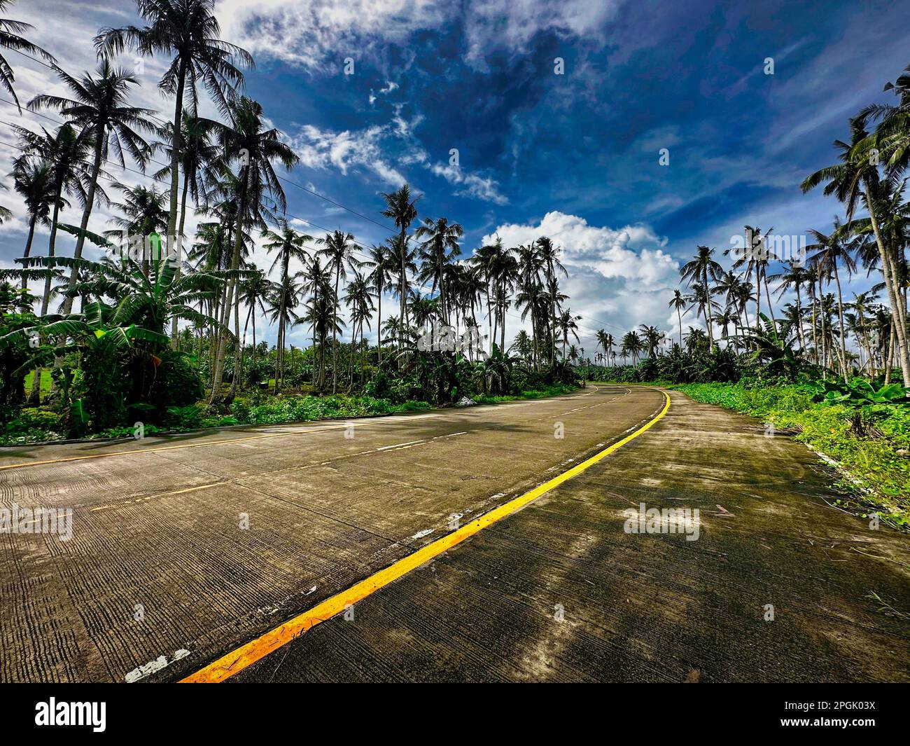 A scenic view of an empty two-lane road lined with trees on either side ...