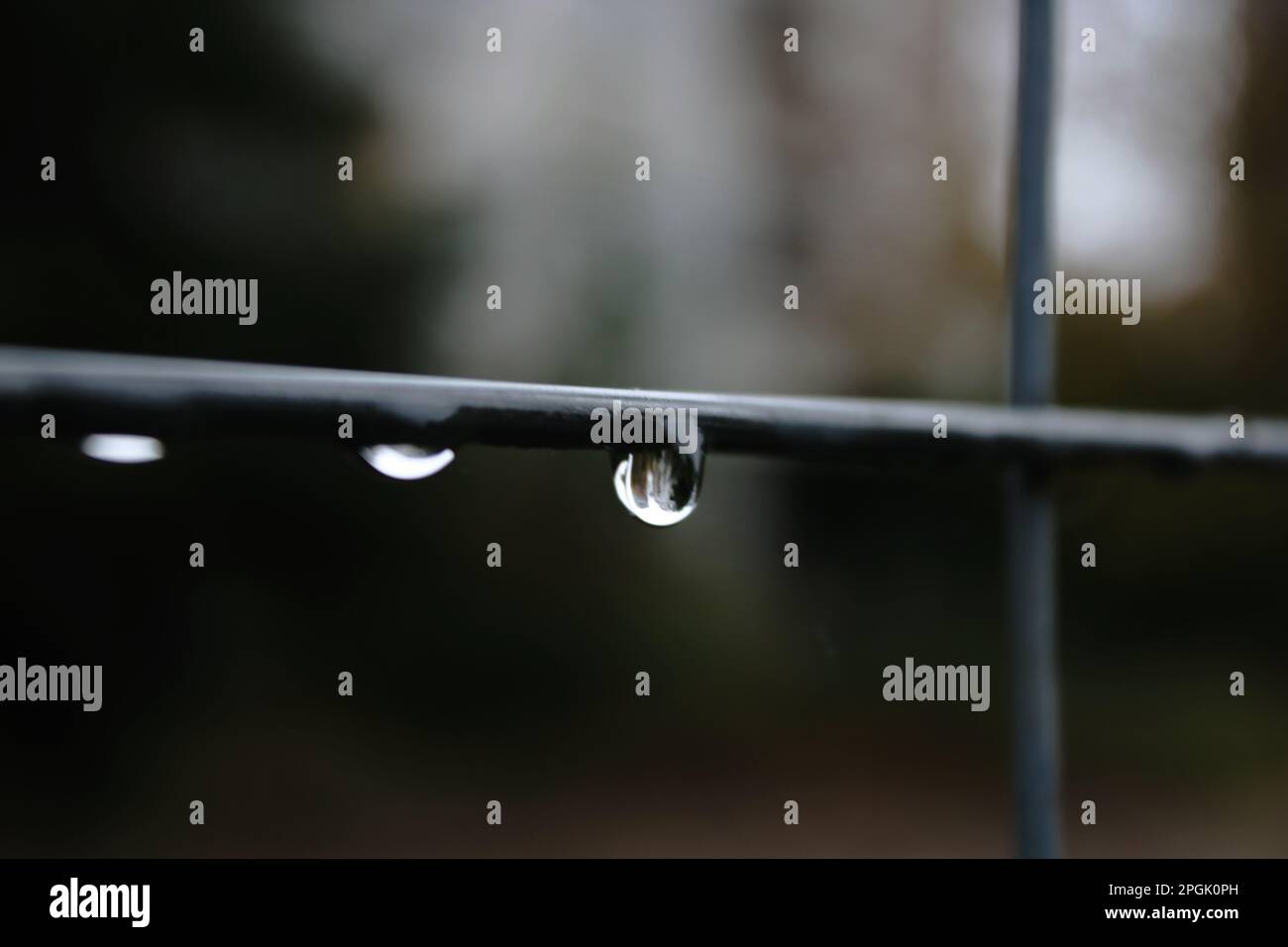 Three drops of rainwater suspended from a metal fence post during a ...