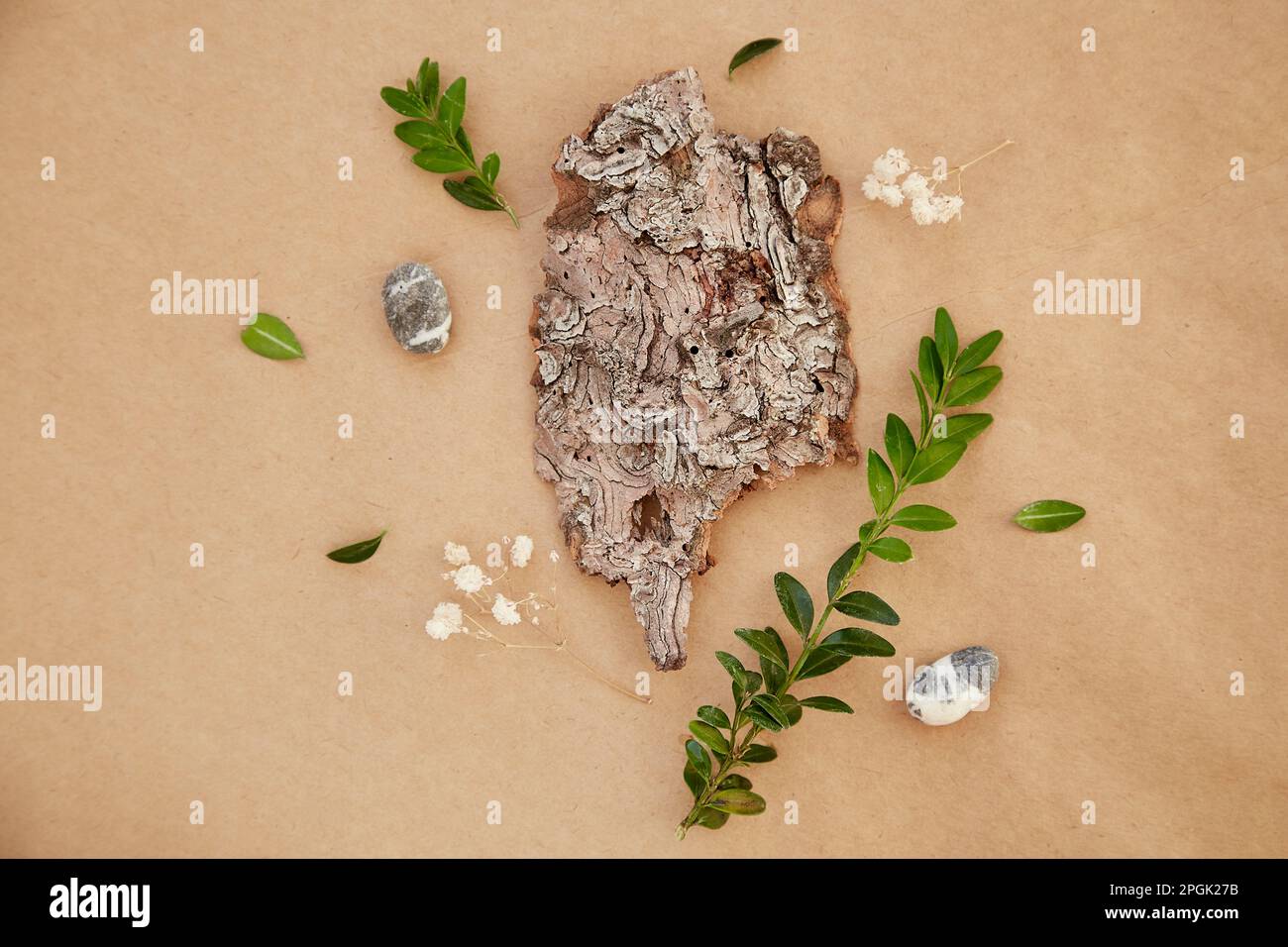 Natural tree bark, green leaves, pebbles. Sustainable, eco-friendly ...
