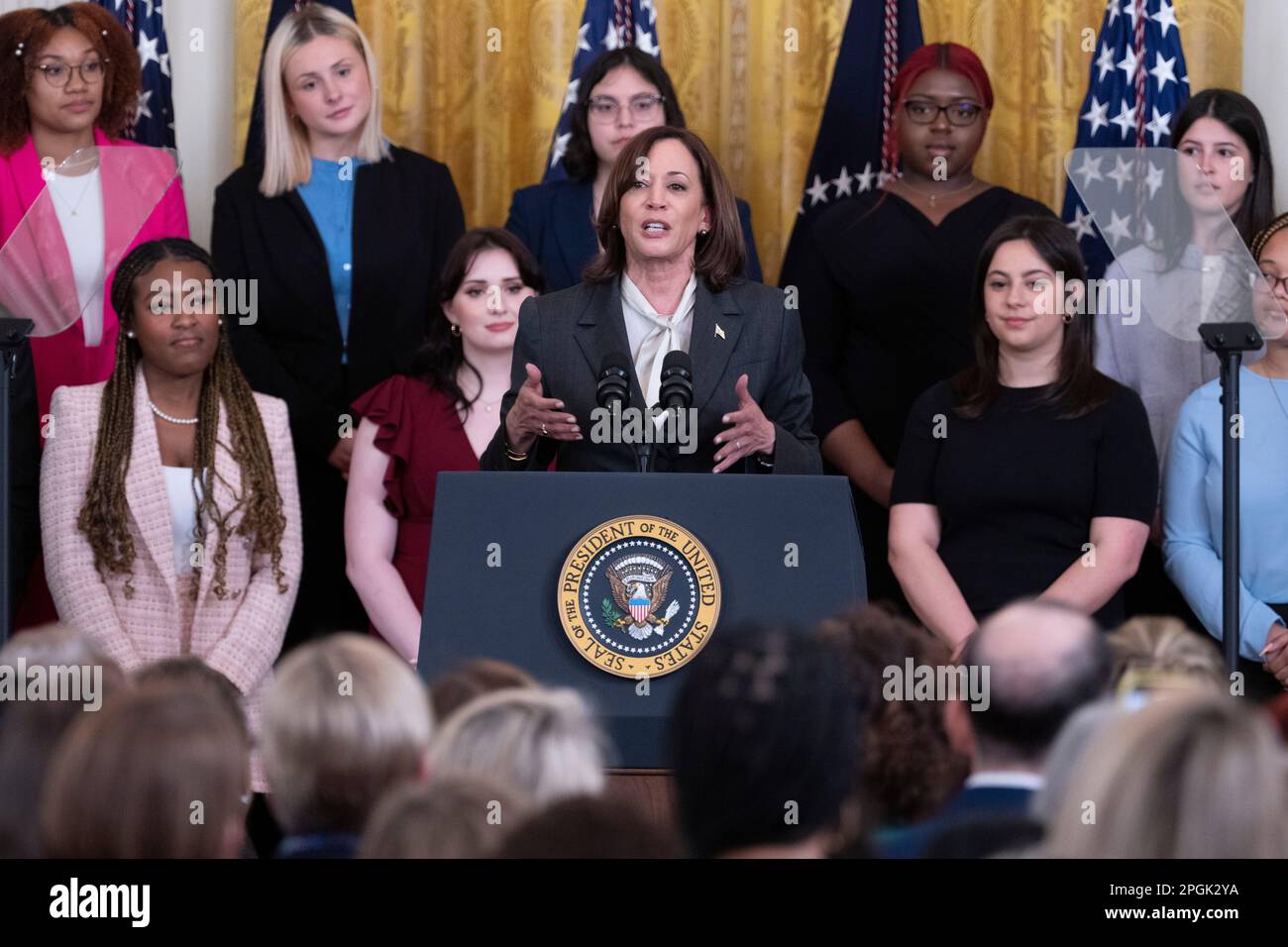 United States Vice President Kamala Harris speaks during a reception ...
