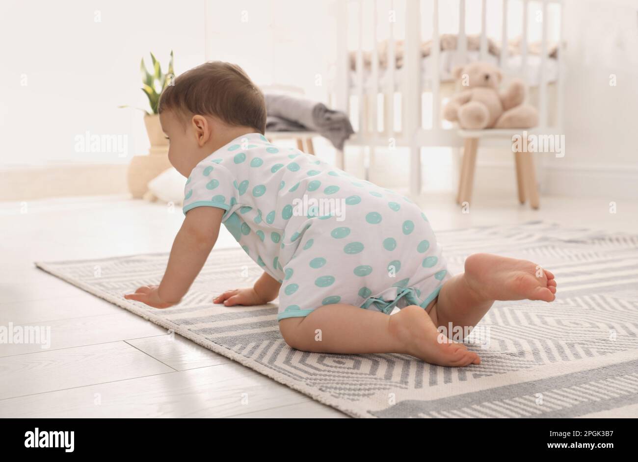 Cute baby crawling on floor at home, back view Stock Photo - Alamy
