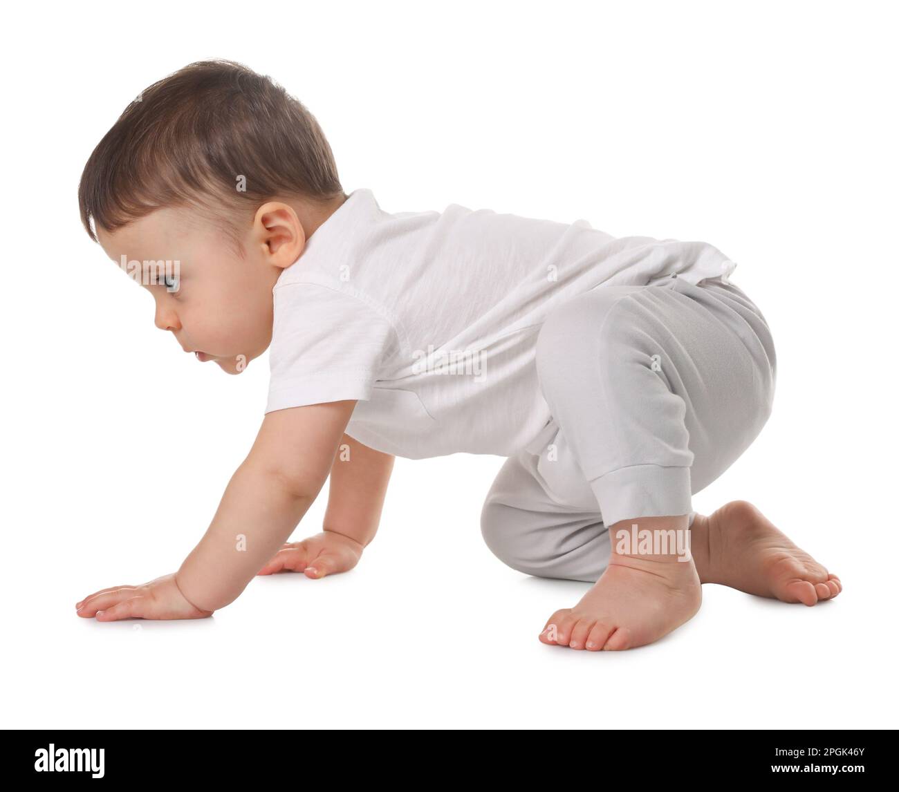 Cute little baby crawling on white background Stock Photo - Alamy