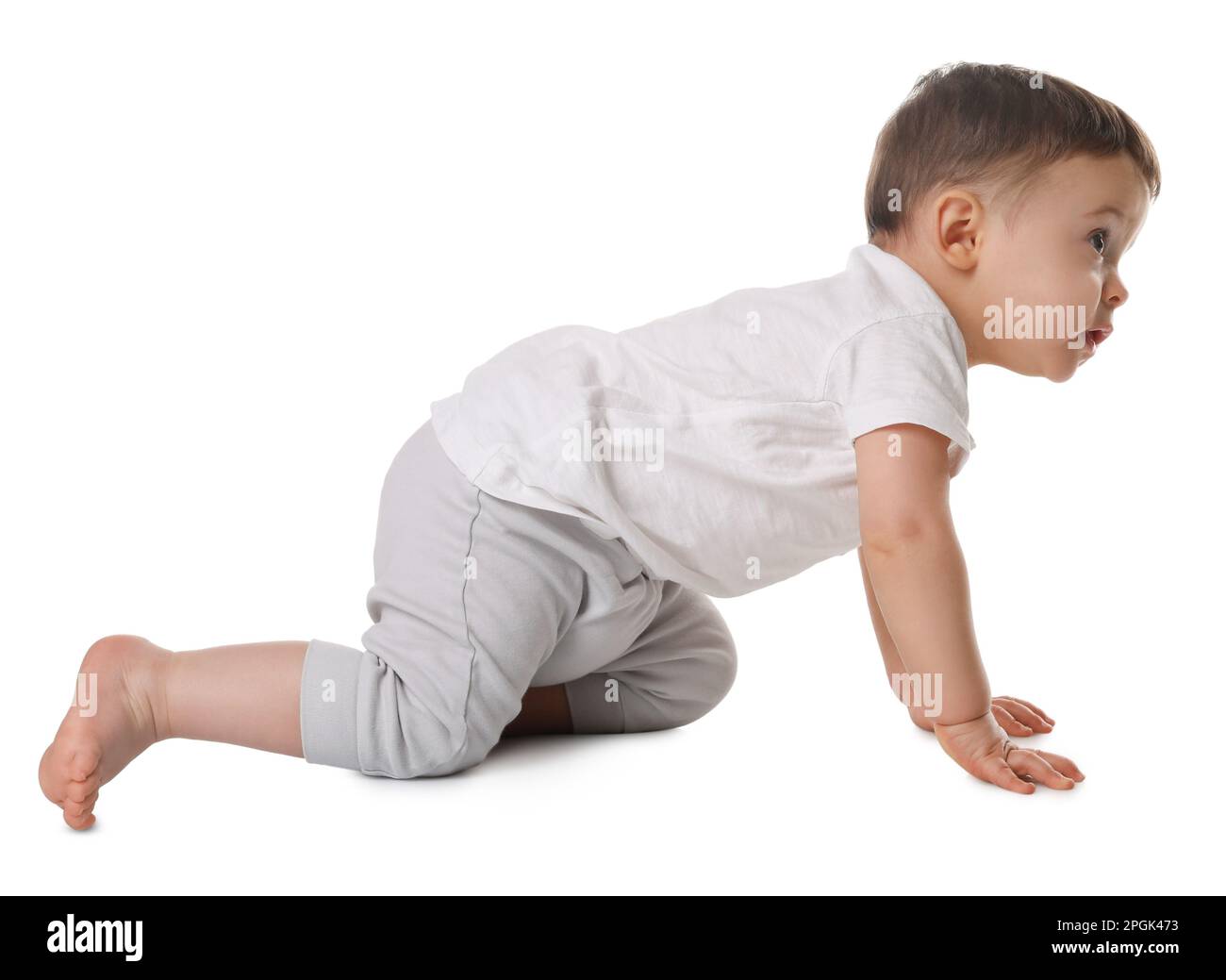 Cute little baby crawling on white background Stock Photo - Alamy