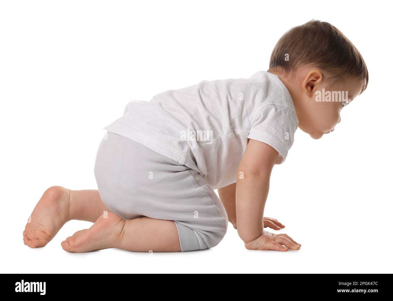 Cute little baby crawling on white background Stock Photo - Alamy