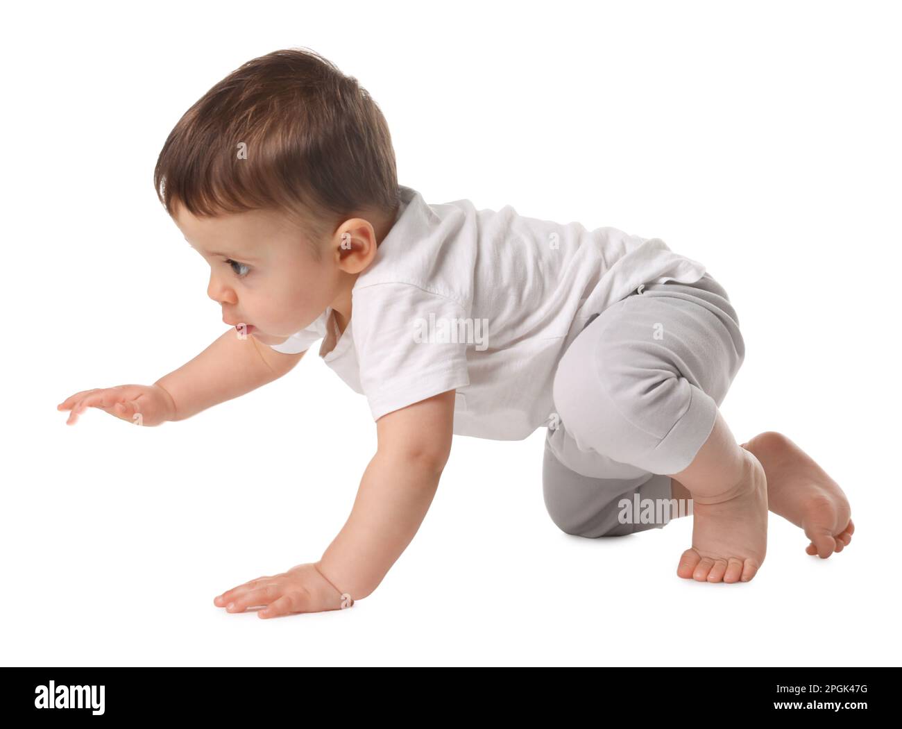 Cute little baby crawling on white background Stock Photo - Alamy
