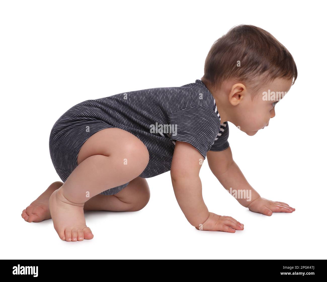 Cute little baby crawling on white background Stock Photo - Alamy