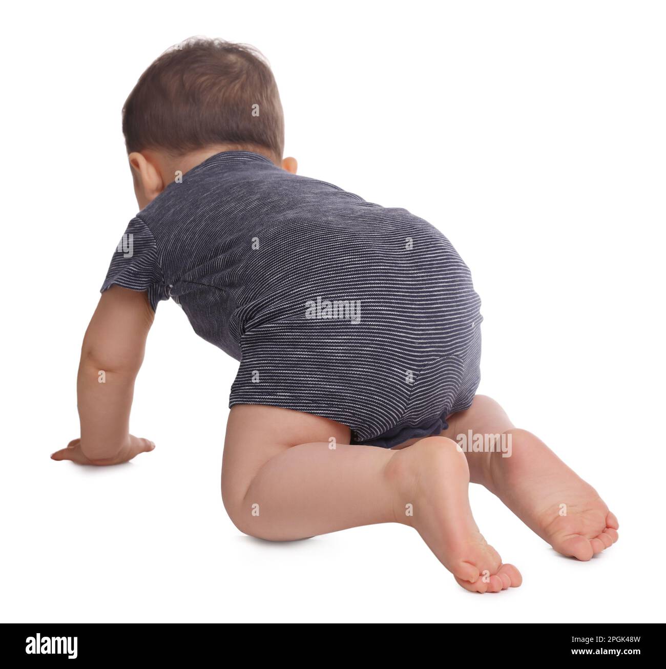 Cute baby crawling on white background, back view Stock Photo - Alamy