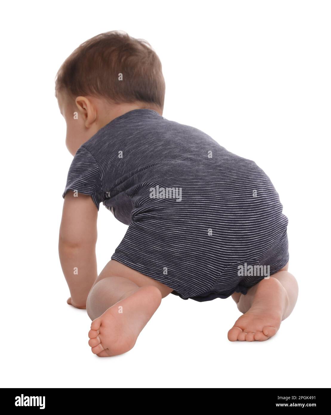 Cute baby crawling on white background, back view Stock Photo - Alamy
