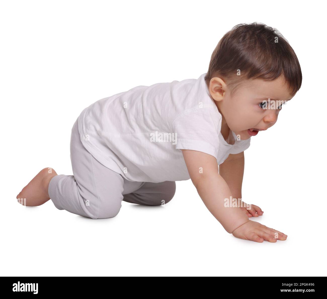 Cute little baby crawling on white background Stock Photo - Alamy