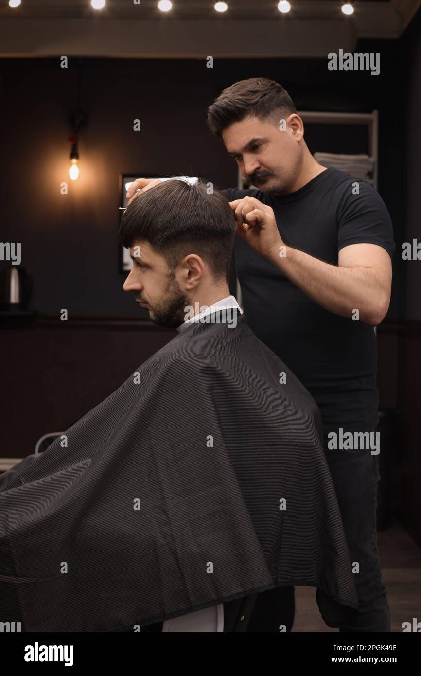 Professional hairdresser making stylish hi-res stock photography and ...