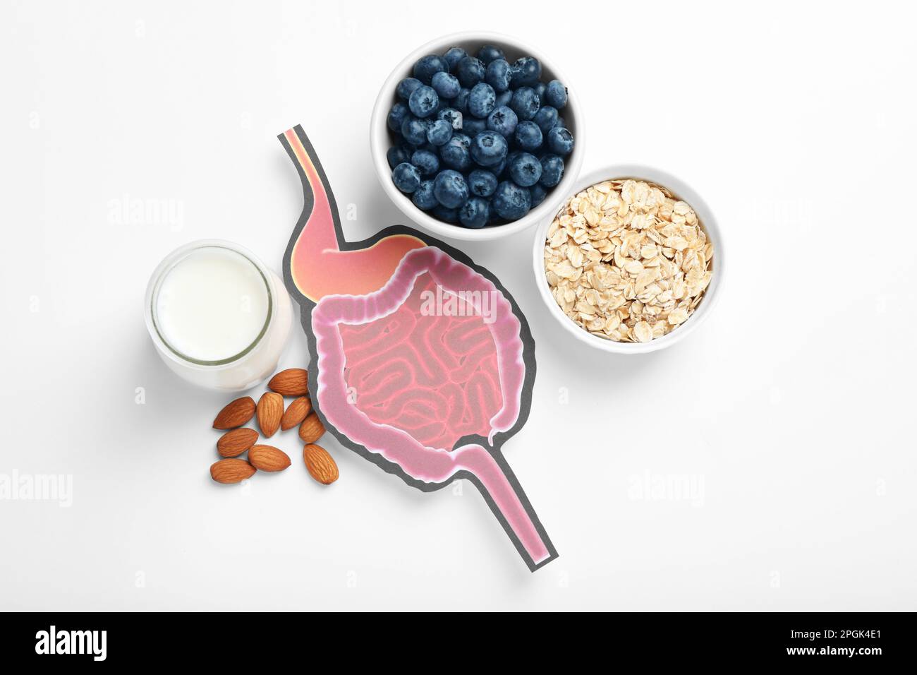 Gastrointestinal tract model and products to help digestion on white ...