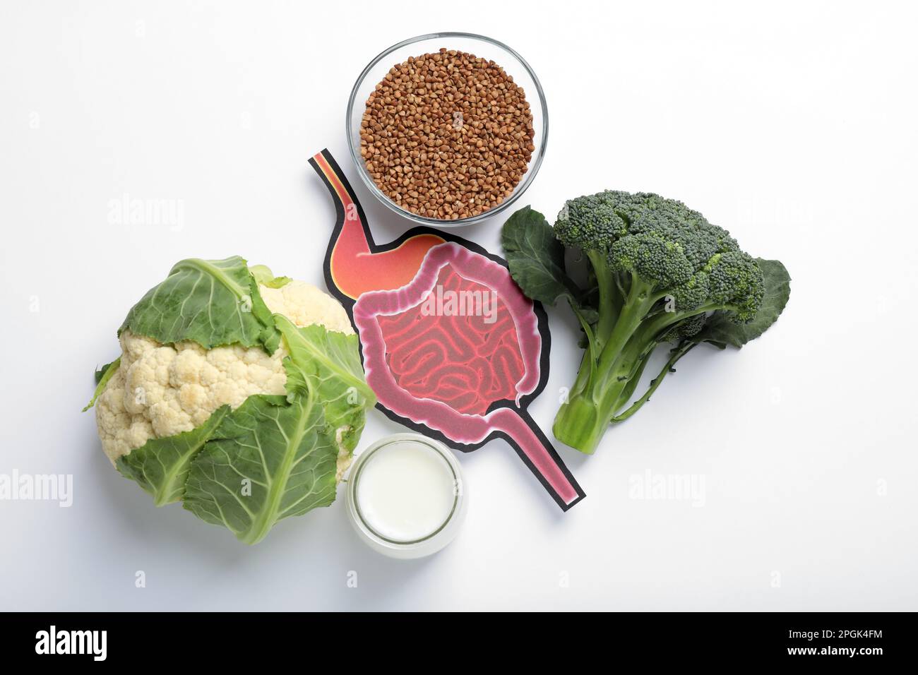 Gastrointestinal tract model and products to help digestion on white ...