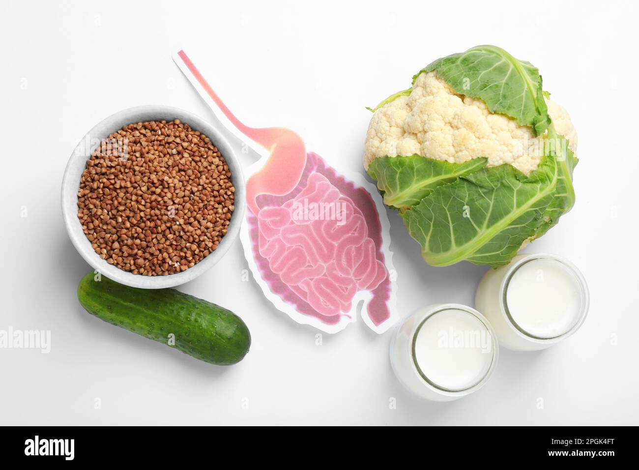 Gastrointestinal tract model and products to help digestion on white ...