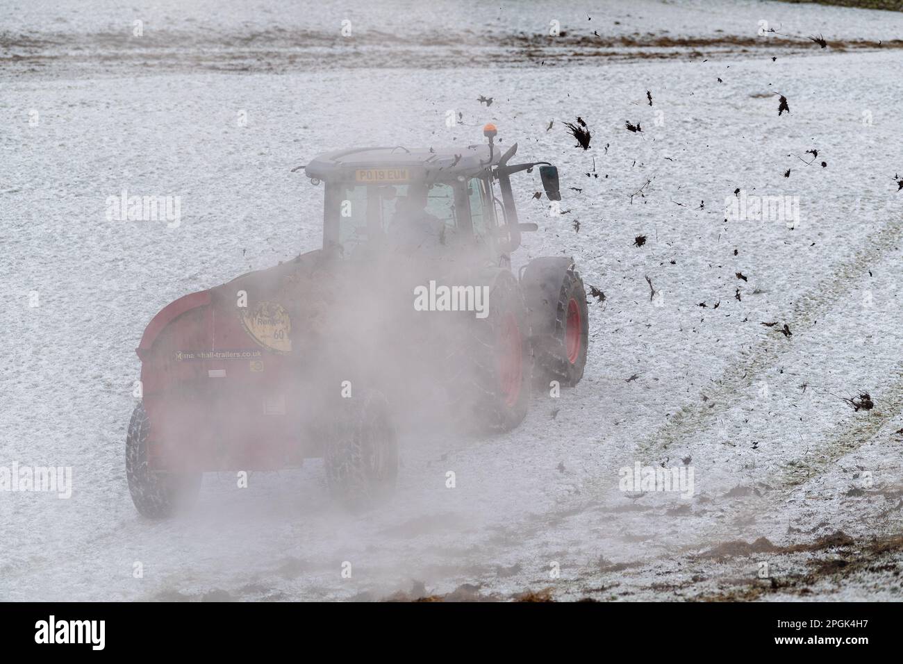 Spreading muck on a frozen field on a hill farm in the Yorkshire Dales ...