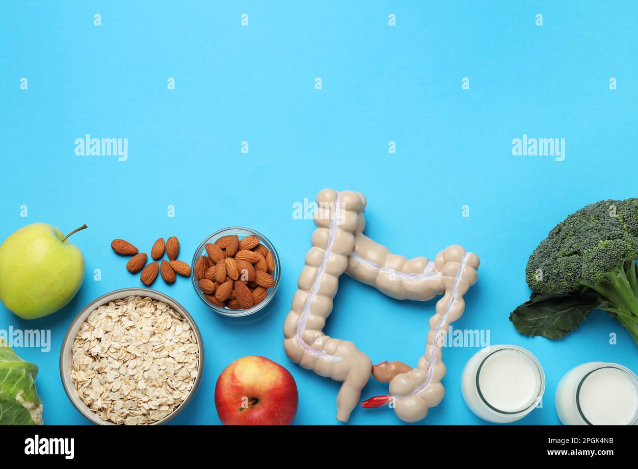 Layout of intestine model and products to help digestion on turquoise ...