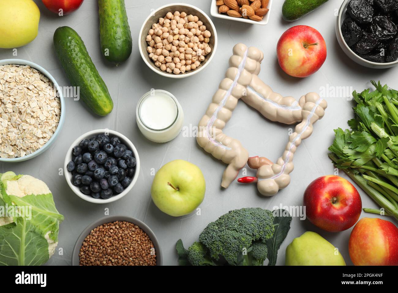 Layout of intestine model and products to help digestion on light table ...